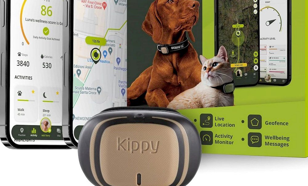 Kippy evo avis : Guide d'achat de 2026